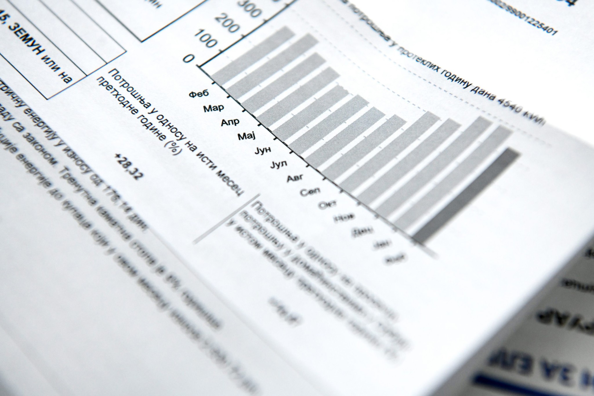 Biljana Willimon i EPS: Računi za struju kao kazna