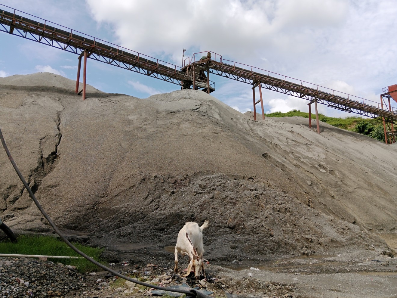 Kako je vlast oživela priču o rudarenju na planini Rogozna